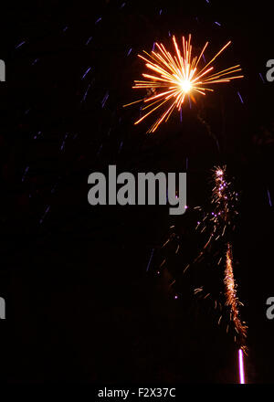 Pink fireworks exploding in the night sky Stock Photo - Alamy