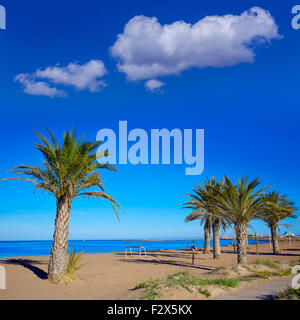 Denia beach palm trees in Alicante in blue Mediterranean of Spain Stock ...