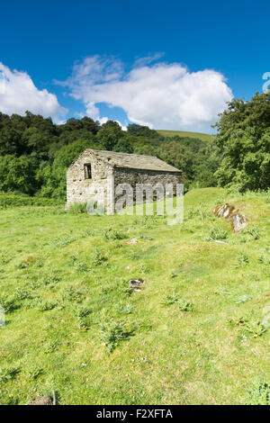Yorkshire Dales landscape at the Gunnerside Gill, with the remains of ...
