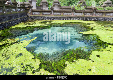 "Water "welling up" from a spring in a stone fountain, California Stock ...