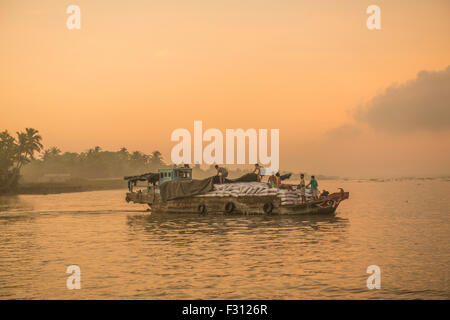 Binh Thanh Island at Sadec, Mekong River Delta, Vietnam, Indochina ...