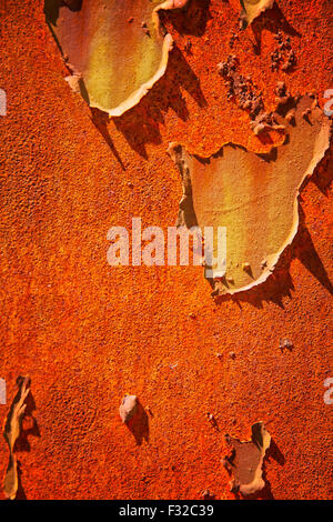 Detail of the old rusty metal - flaky paint Stock Photo - Alamy
