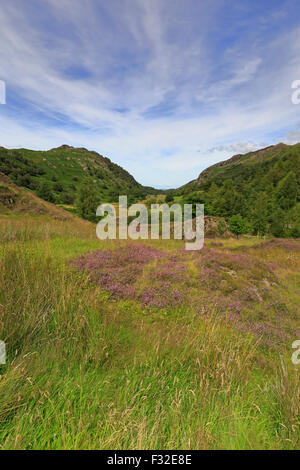[Watendlath Valley], Borrowdale, "Lake District", Cumbria, England, UK ...