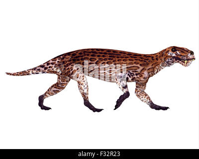 Lycaenops was a carnivorous mammal-like reptile that lived in South ...