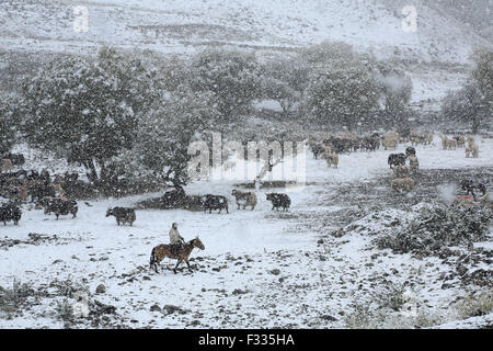 Bayingolin, China's Xinjiang Uygur Autonomous Region. 27th Sep, 2015. A ...