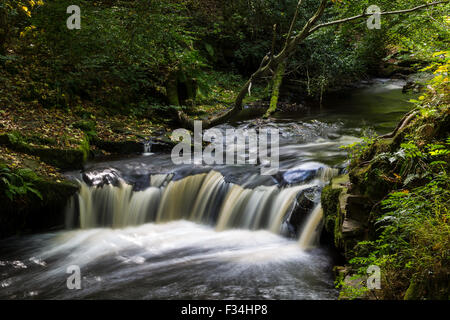 Waterfall seen along the Rivelin Valley Nature Trail near Sheffield ...