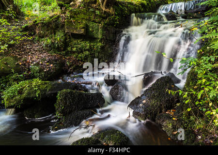 Waterfall seen along the Rivelin Valley Nature Trail near Sheffield ...