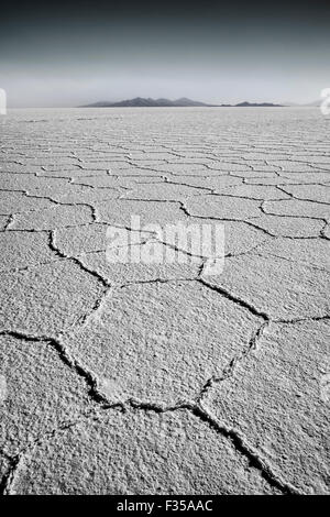 Hexagonal shaped salt flats, polygonal lines of raised salt created ...