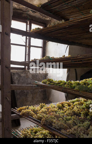 grape drying room Stock Photo - Alamy