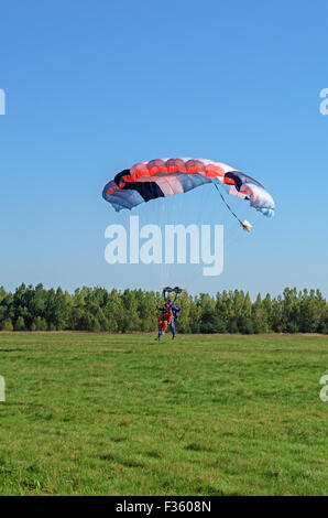 Parachutists - 2014. Tandem parachute landing Stock Photo - Alamy