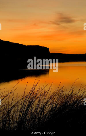Stan Coffin Lake sunrise with bulrush, Quincy Wildlife Area, Washington ...