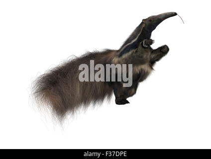 3D digital render of a giant anteater running isolated on white ...