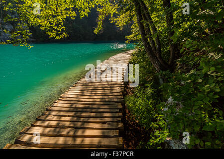 Deep forest stream. Crystal clear water. Plitvice lakes, Croatia Stock ...