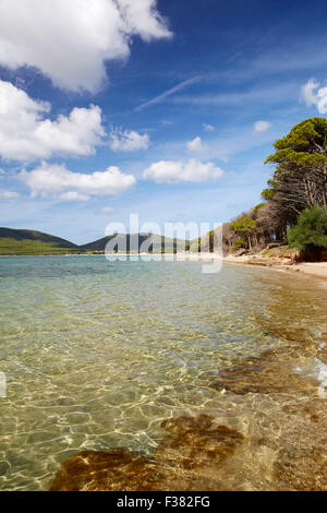 The bay of Porto Conte Stock Photo - Alamy
