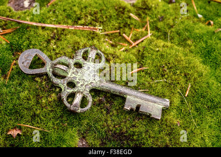 Old treasure key on green moss Stock Photo - Alamy