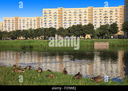 Multi-story buildings - Typical socialist block in East Europe Stock ...