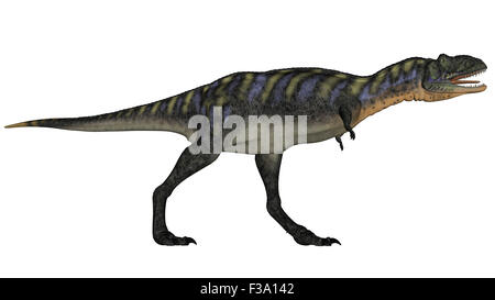 Aucasaurus dinosaur isolated on white background Stock Photo - Alamy