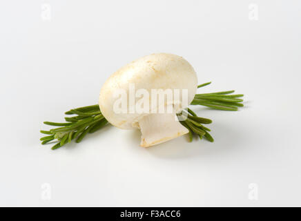 Whole single fresh raw button mushroom, champignon, isolated on white ...