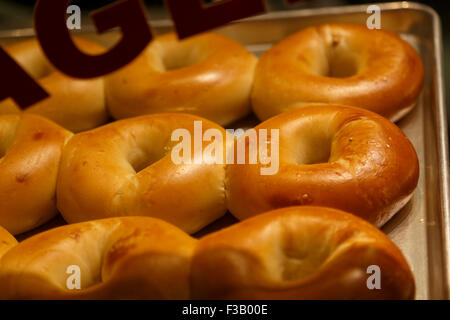 Tray of bagels seen through shop window Stock Photo - Alamy