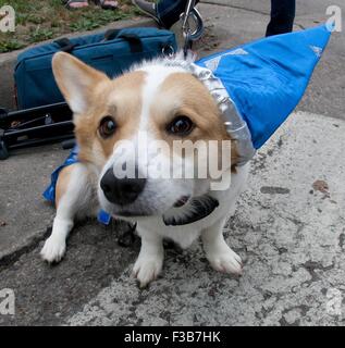 Fort Collins, Colorado, USA. 3rd Oct, 2015. The 1st. Annual TOUR DE ...