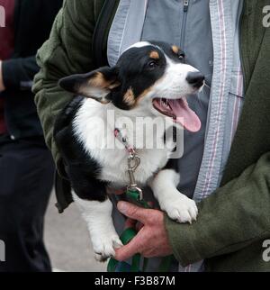Fort Collins, Colorado, USA. 3rd Oct, 2015. The 1st. Annual TOUR DE ...