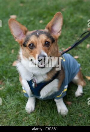 Fort Collins, Colorado, USA. 3rd Oct, 2015. The 1st. Annual TOUR DE ...