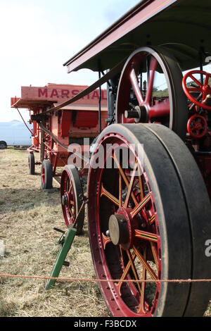 Agricultural Steam Engine to drive the Threshing Machine Stock Photo ...