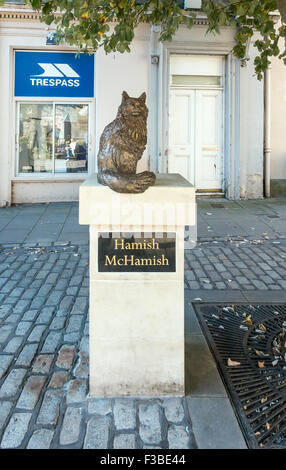 Statue for Hamish McHamish of St Andrews, Cool Cat About Town Stock ...