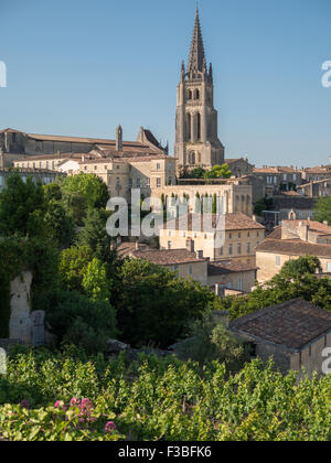 Saint-Emilion-Vineyard landscape-Vineyard south west of France Stock ...