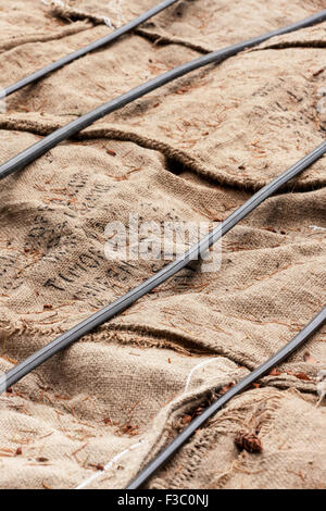 Burlap bags covering vegetable garden to mulch, protect from weeds and ...