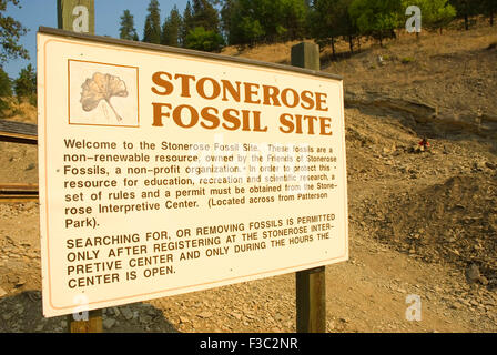 Fossil leaves, Stonerose Interpretive Center and Eocene Fossil Site ...
