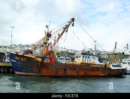 The Trawler 'Van Dyke', BM 362, operating from Brixham, Devon, England ...