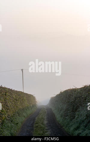 May sunrise on the rolling hills in East Sussex, England. South Downs ...