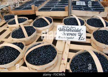 Fresh wild blueberries for sale on the roadside, Sudbury, Ontario ...