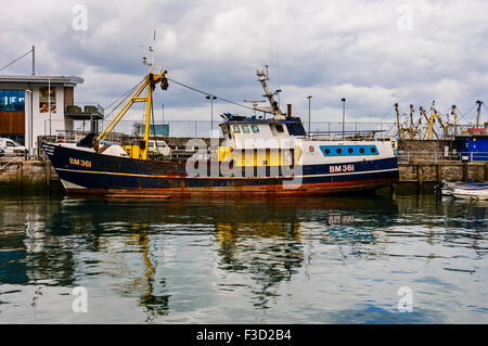 The twin beam trawler BM 36t1 FV Barentszee moored to the quayside in ...