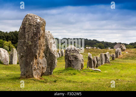 Megalithic alignments of standing stones of Kermario and Menec, Carnac ...