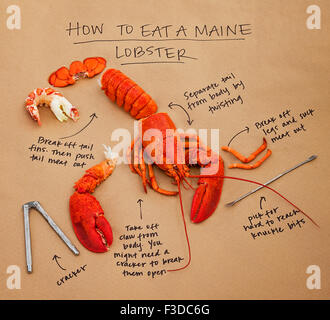 How to eat lobster instructions Stock Photo - Alamy