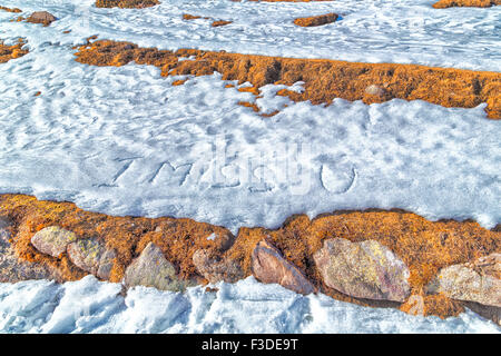love sentences written in the snow with green conifers and wood chalet ...