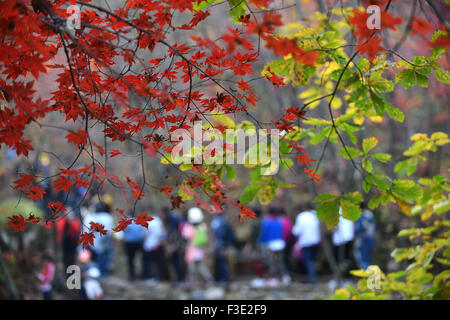 Benxi City, northeast China's Liaoning Province, 10 October, 2023 ...