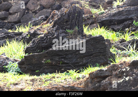 Layers of iron ore formed in the earth Stock Photo - Alamy