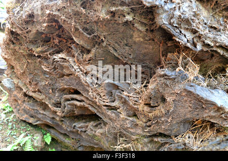 Layers of iron ore formed in the earth Stock Photo - Alamy