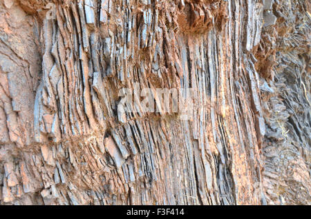 Layers of iron ore formed in the earth Stock Photo - Alamy