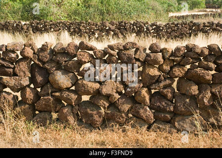 A stone wall ; Konkan ; Sindhudurg district ; Maharashtra ; India ...
