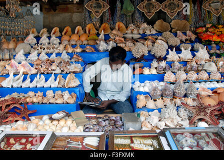 SEA SHELL SHOP IN KANYAKUMARI TAMILNADU Stock Photo - Alamy