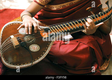 Vina - Indian Instrument Stock Photo - Alamy