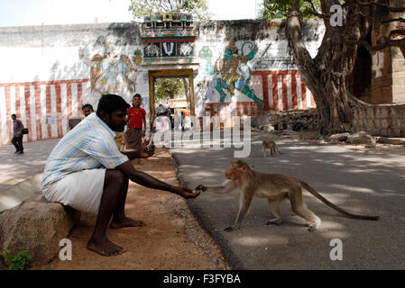 Feeding temple monkey, Kallazhagar Temple, Alagar kovil, Azhagar kovil ...