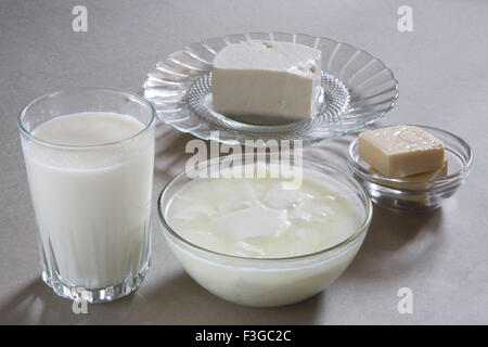 Milk curd yogurt dahi cottage cheese paneer home or dairy product Stock ...