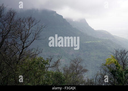 Raining in Mountains, Foggy Forest, Heavy Mystical Fog, Romanian ...