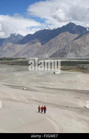 Coldest san dune at Hundur, Ladakh, Jammu & Kashmir, India, Asia Stock ...
