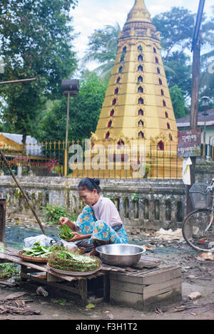 Betel leaves, Myanmar Stock Photo - Alamy